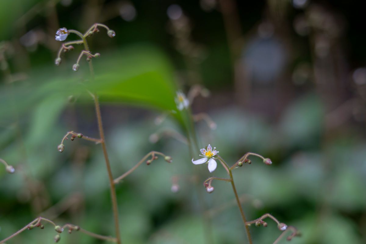 ＊2025/05/26 お転婆さん・・・♡ | GANREF