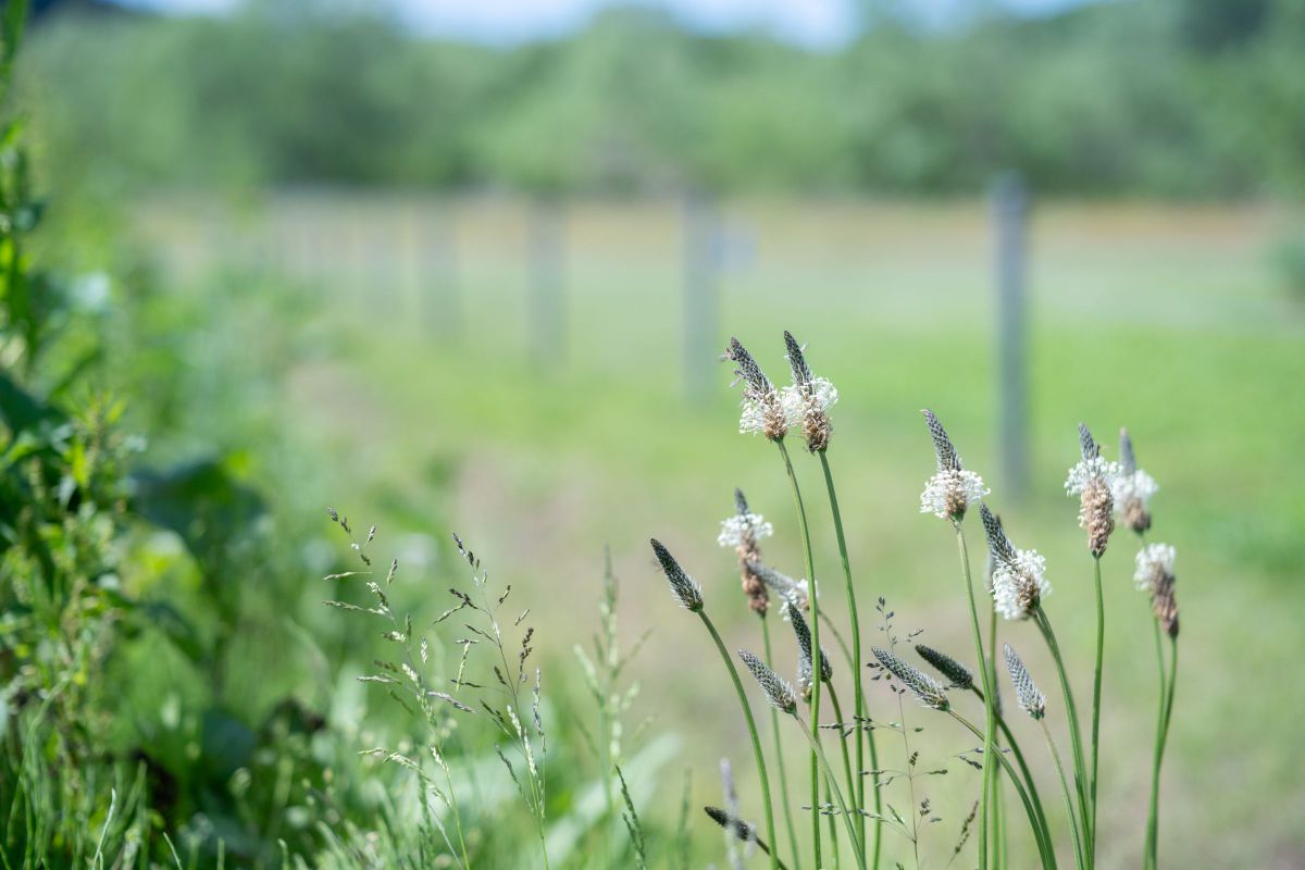 ＊2025/05/19 惑わせないで・・・♡ | GANREF