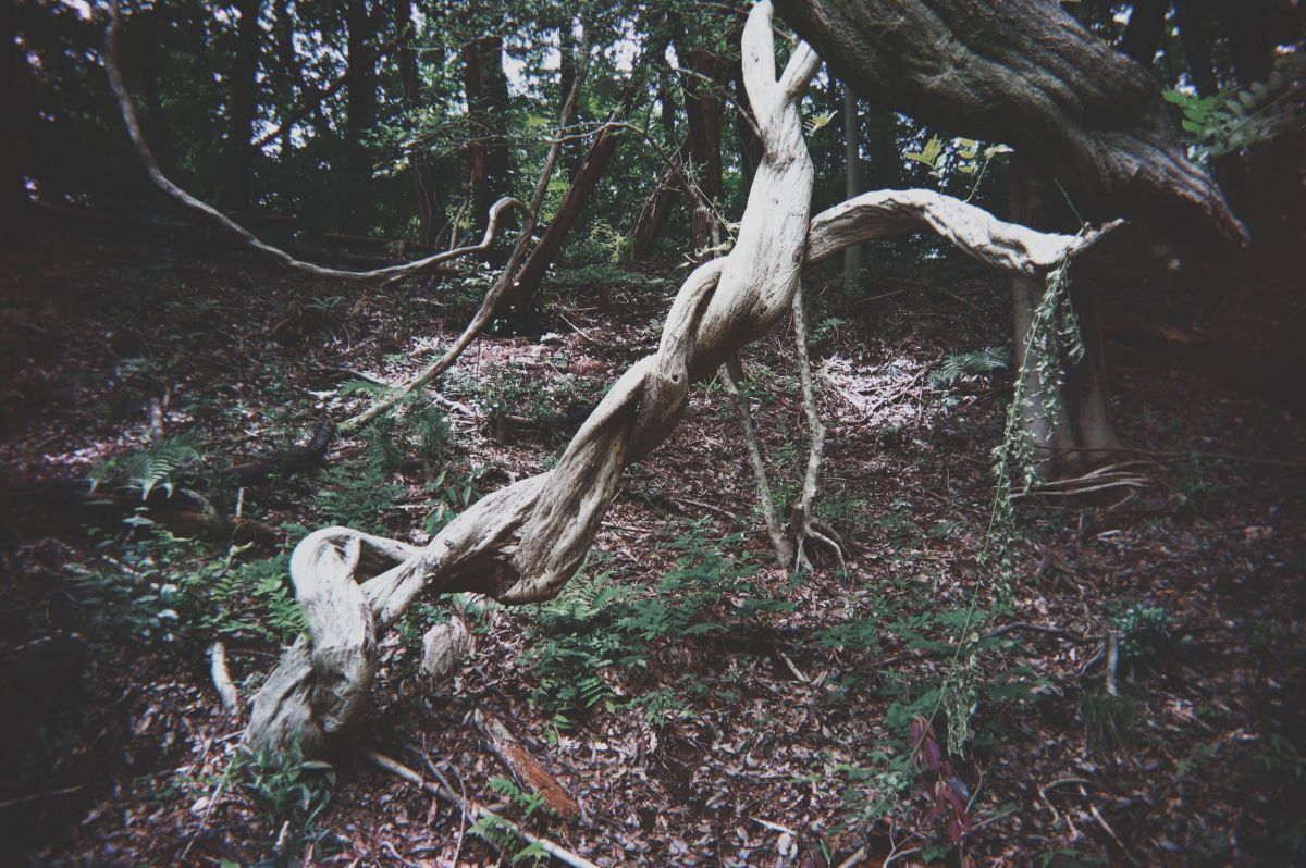 中尾さんR.I.P | GANREF