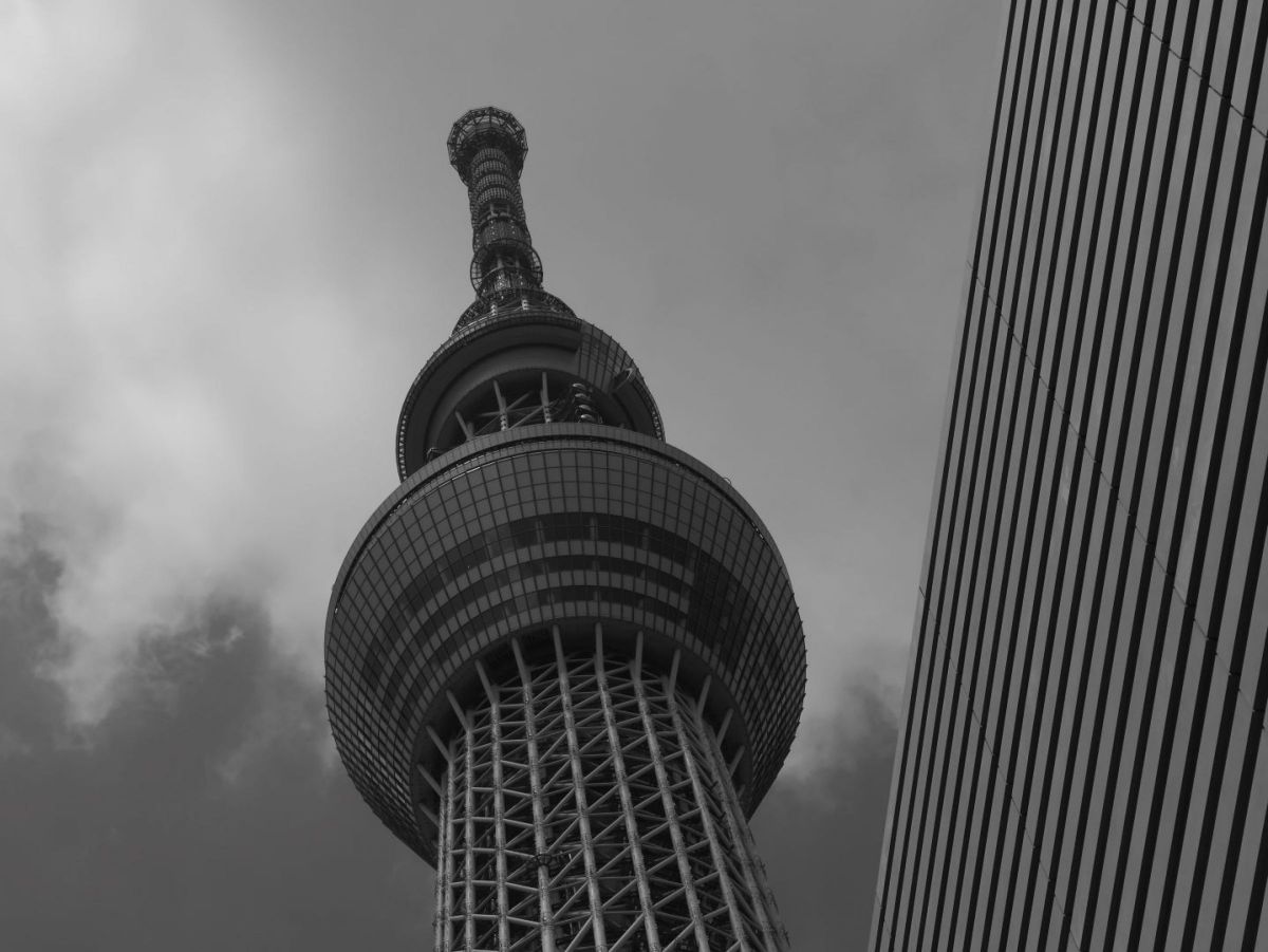 skytree | GANREF