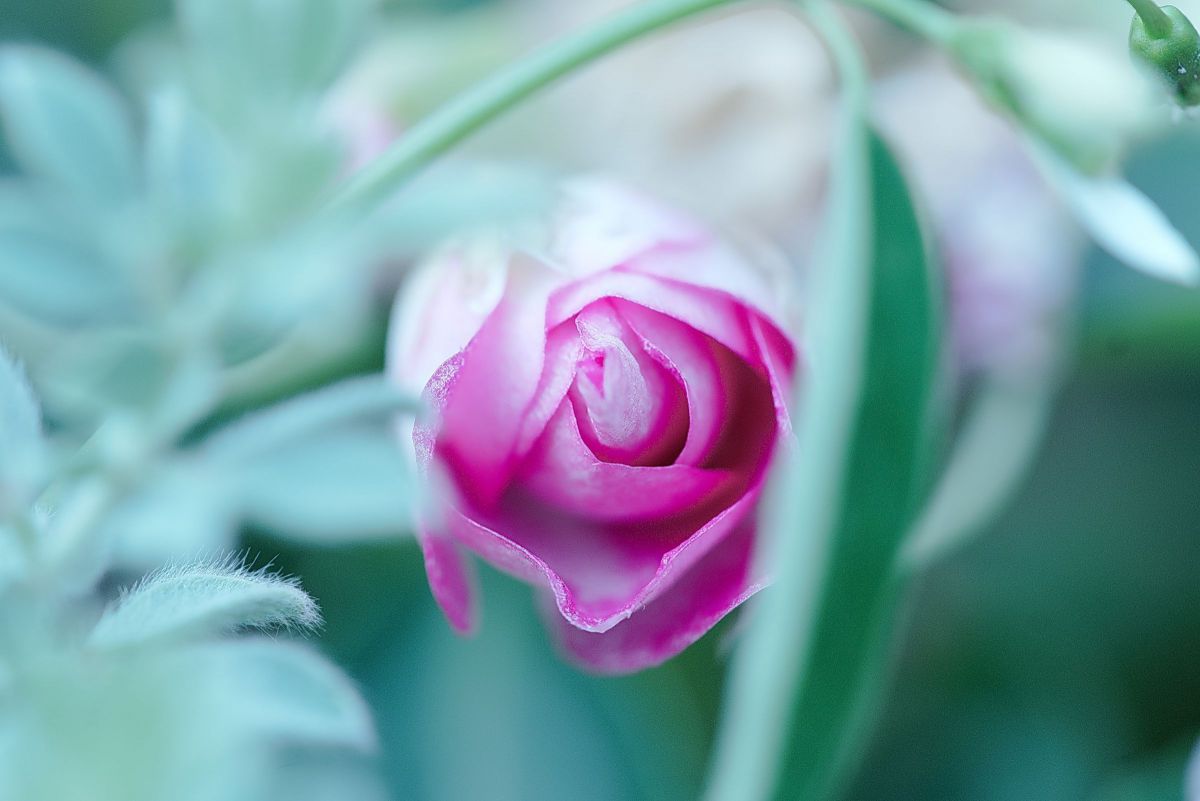 hide and seek | GANREF