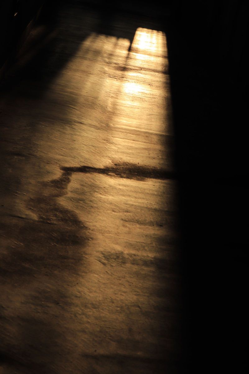 Morning Light | GANREF