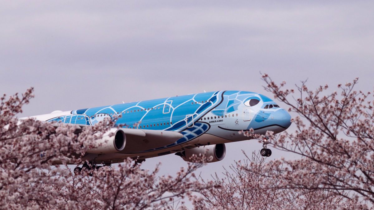 FLYING HONU | GANREF