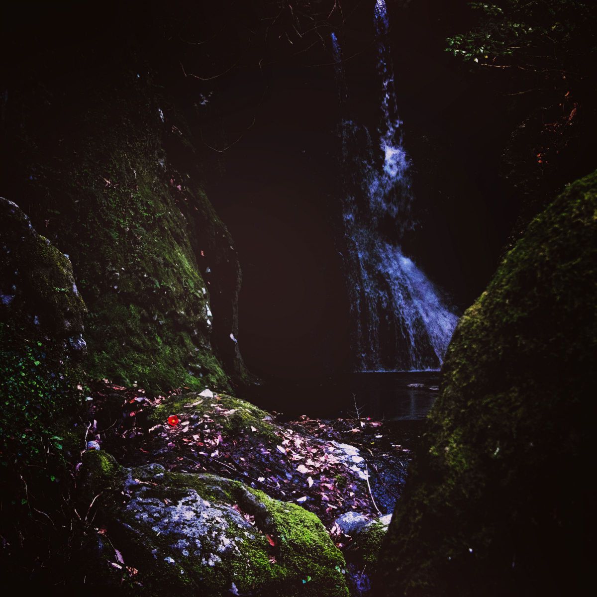 forgot rest | GANREF