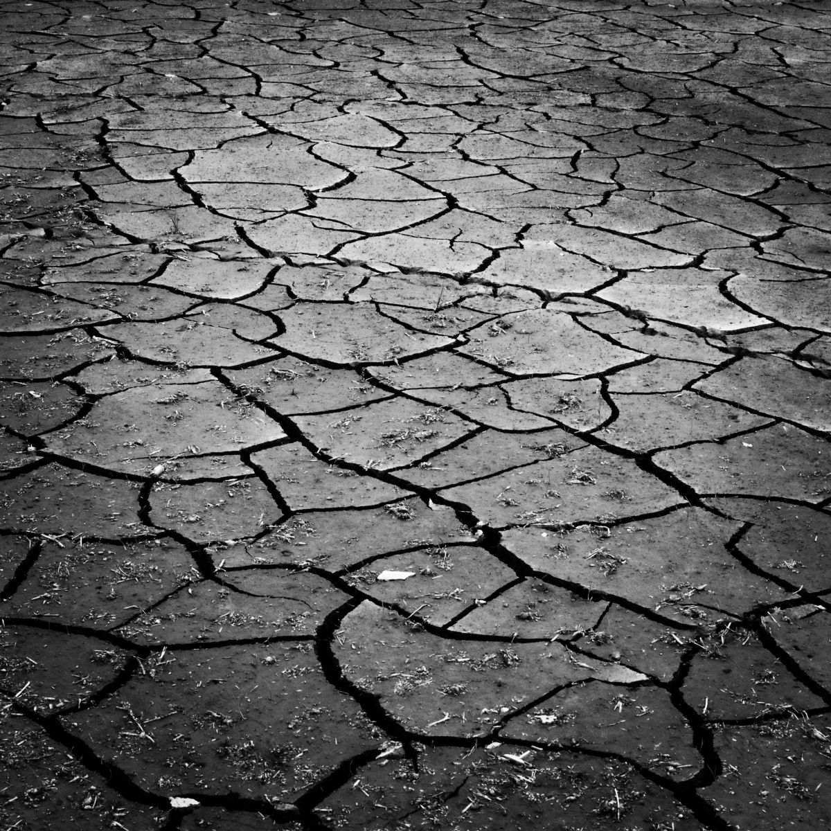 art of ground | GANREF