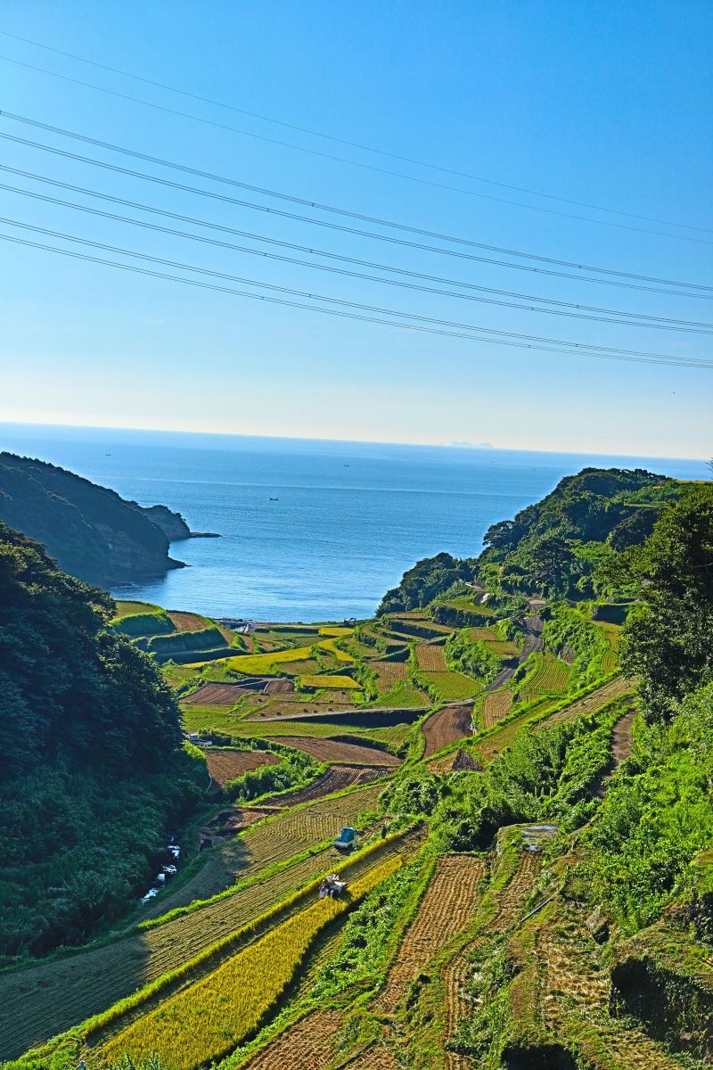 海沿いの田園 | GANREF
