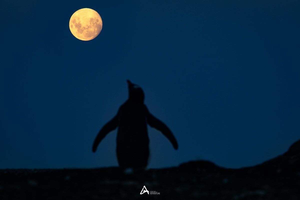 SWEET MEMORIES | GANREF