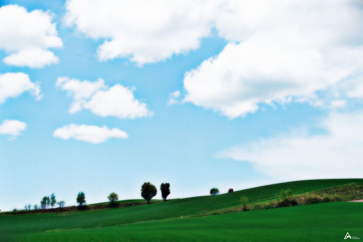 もうすぐGW | GANREF