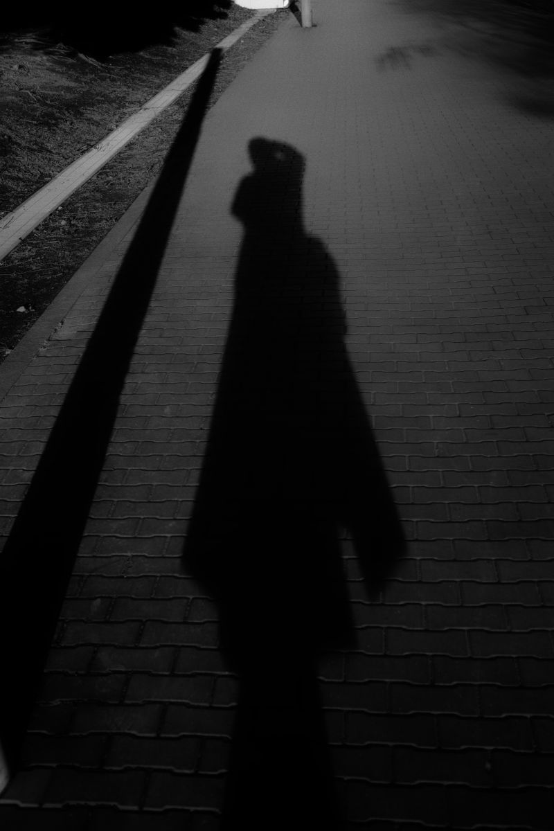 Amazing shadow | GANREF