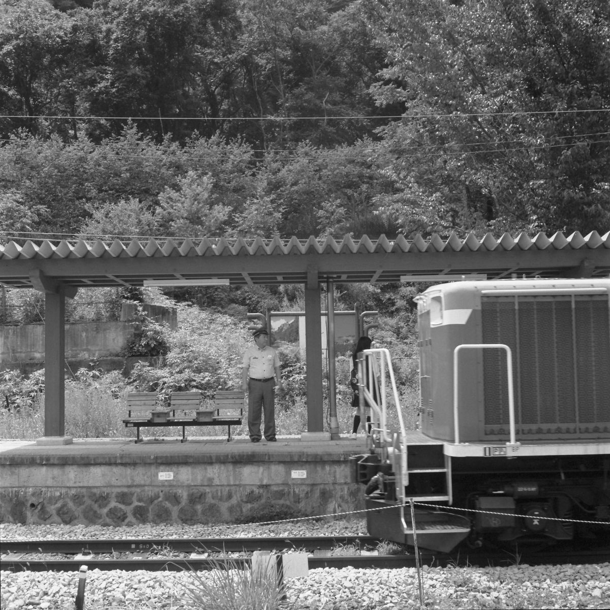 120フィルム現像 3回目 通算 8回目 | GANREF