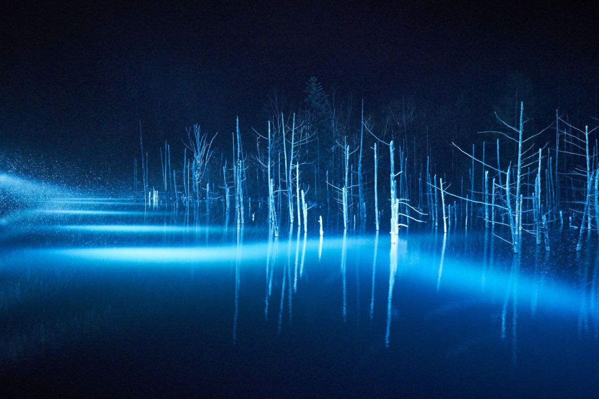 winter pond | GANREF