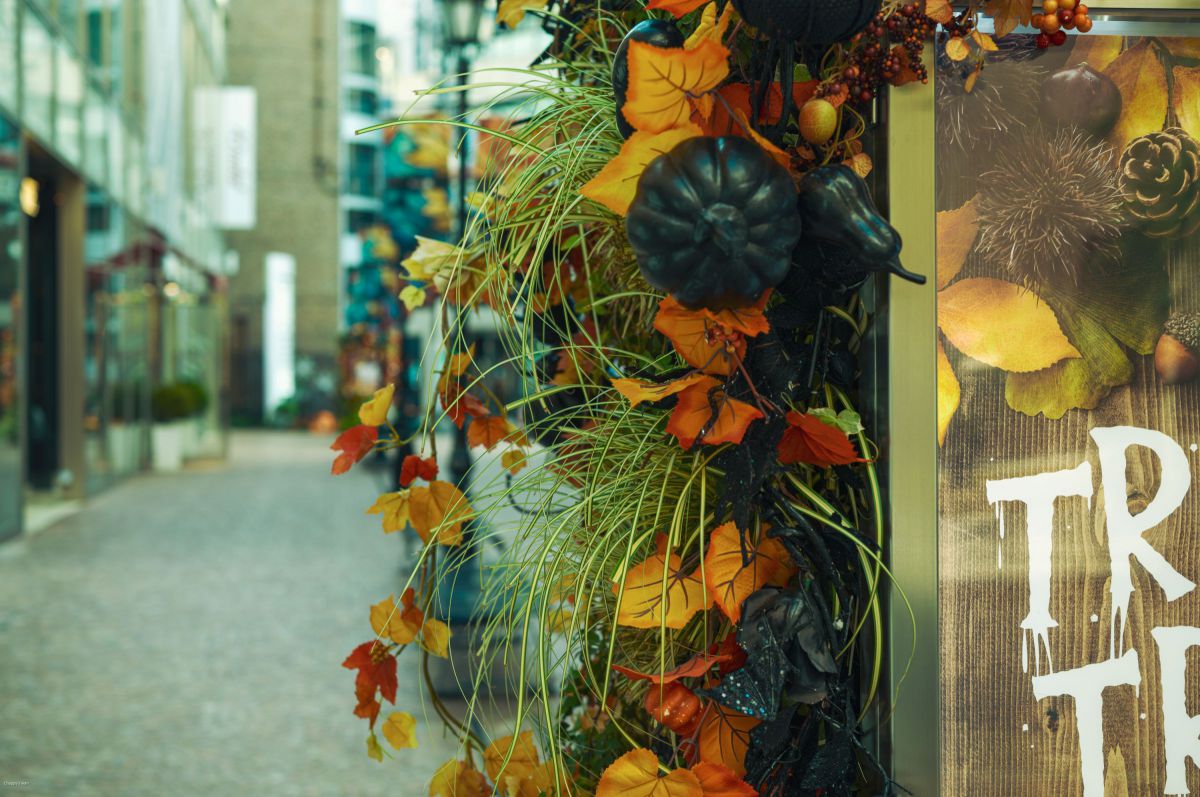 in the fall | GANREF