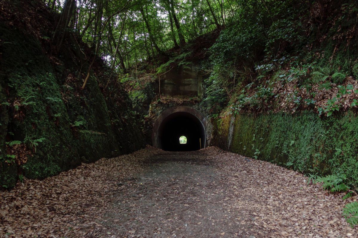 Go ahead！！ | GANREF