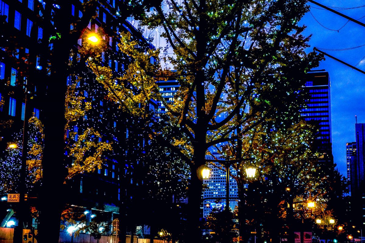 LEDに埋もれる | GANREF