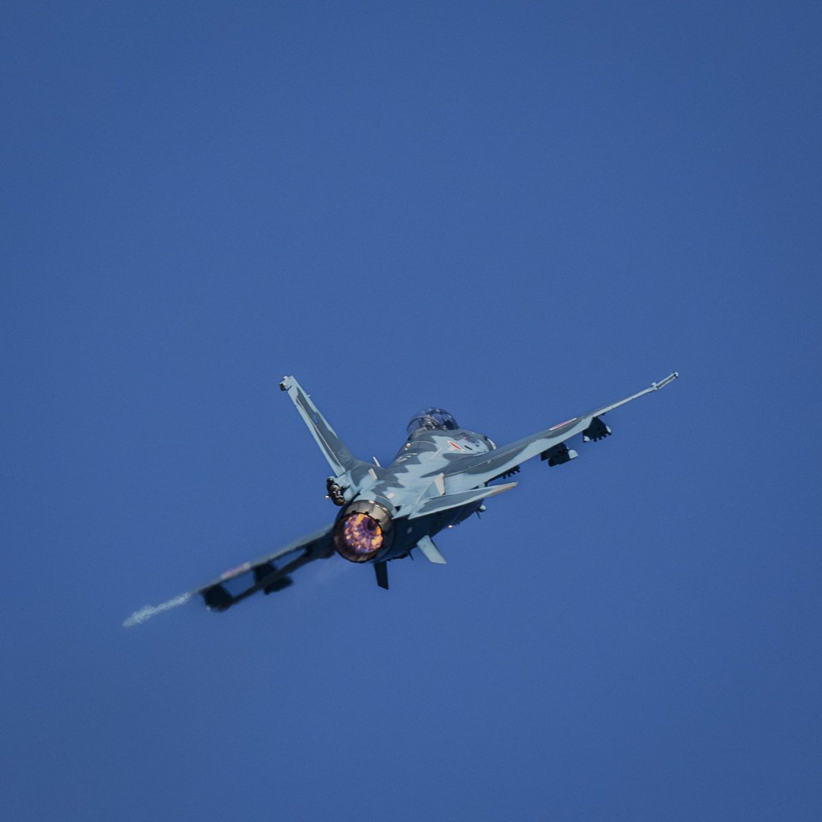 百里、F-2! | GANREF