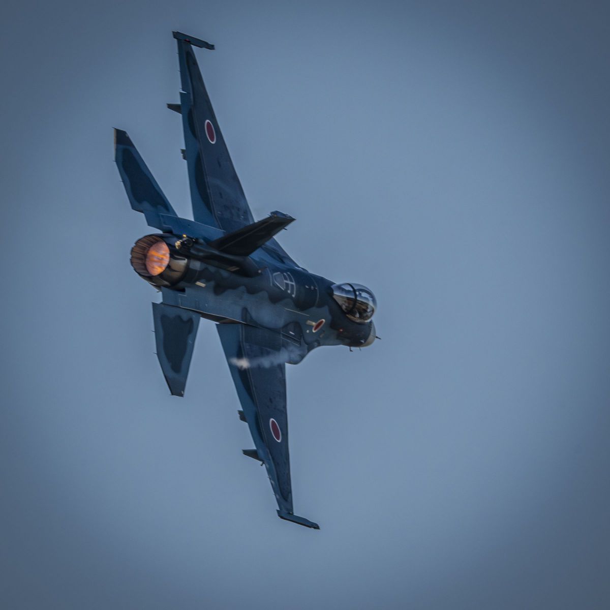 百里、F-2! | GANREF