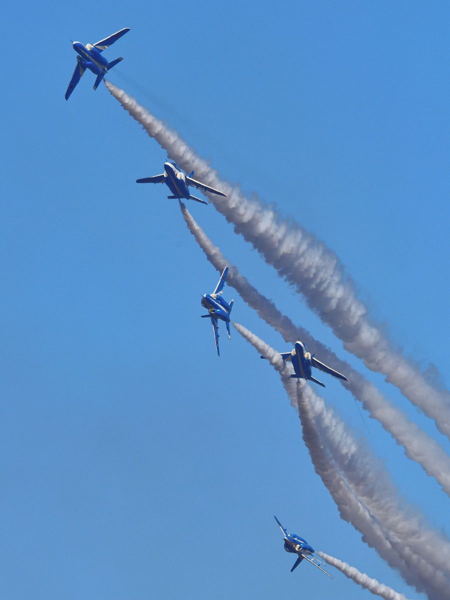 formation change! | GANREF