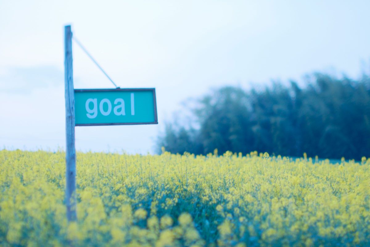 菜の花迷路のGoal_NN～鼻高展望花の丘 | GANREF