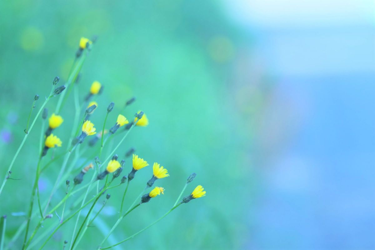 on the edge | GANREF