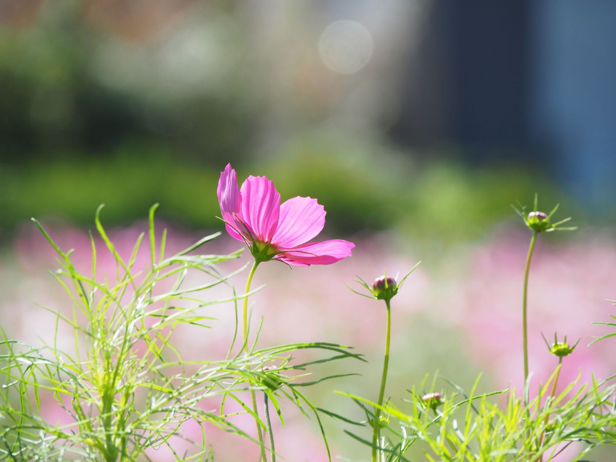 覗き込んで・・・♪ | GANREF