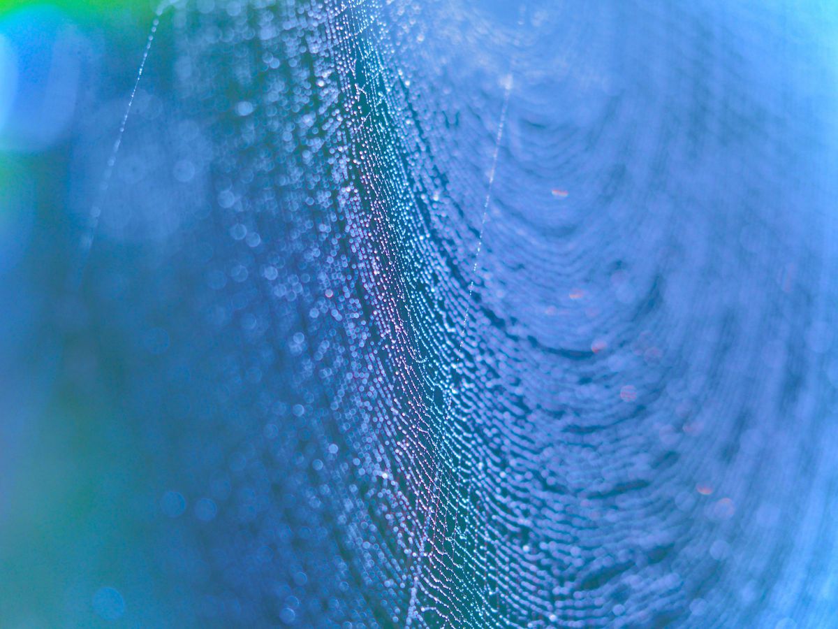 Towards a new Cosmo | GANREF