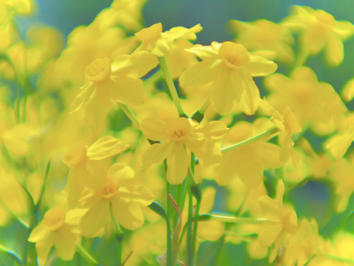 Let's dance！ | GANREF