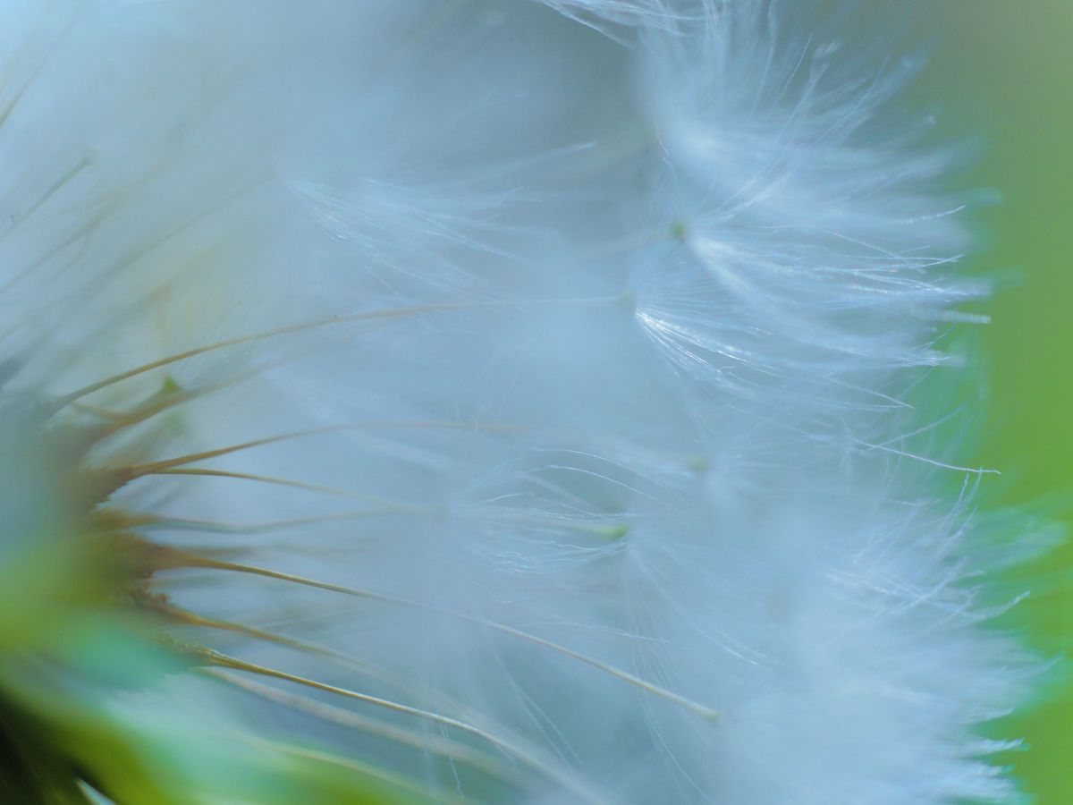 Let's go softly | GANREF