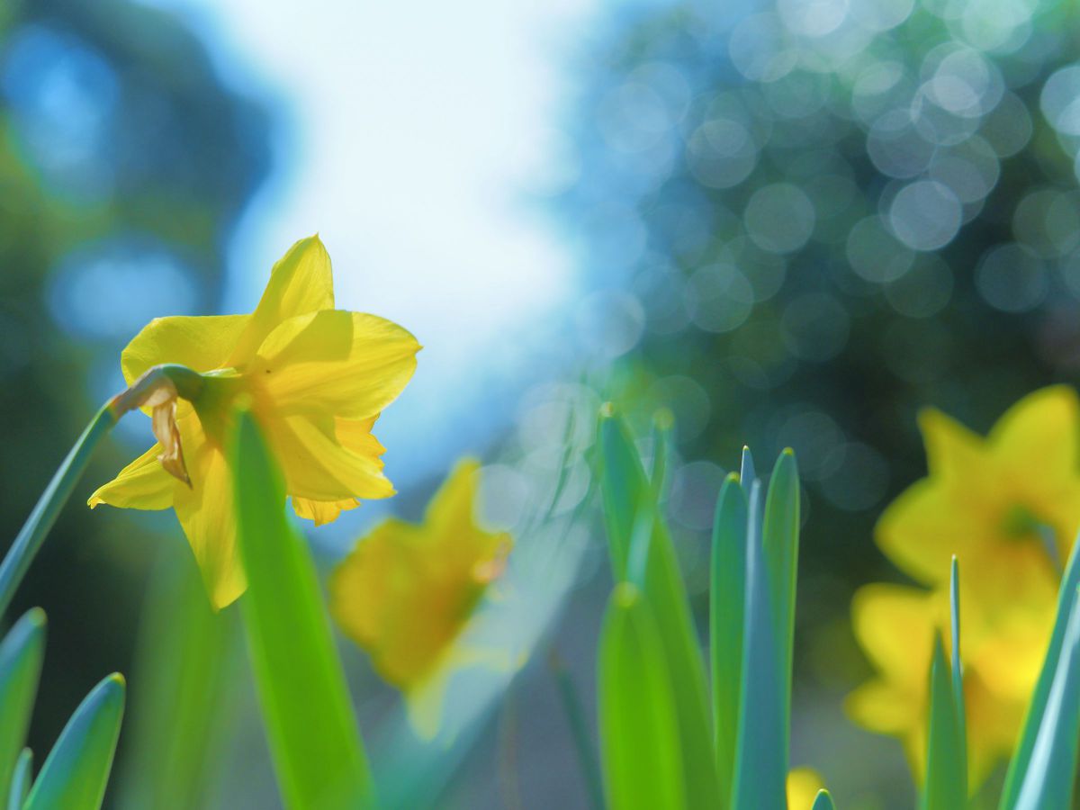 後ろ美人発見！ | GANREF