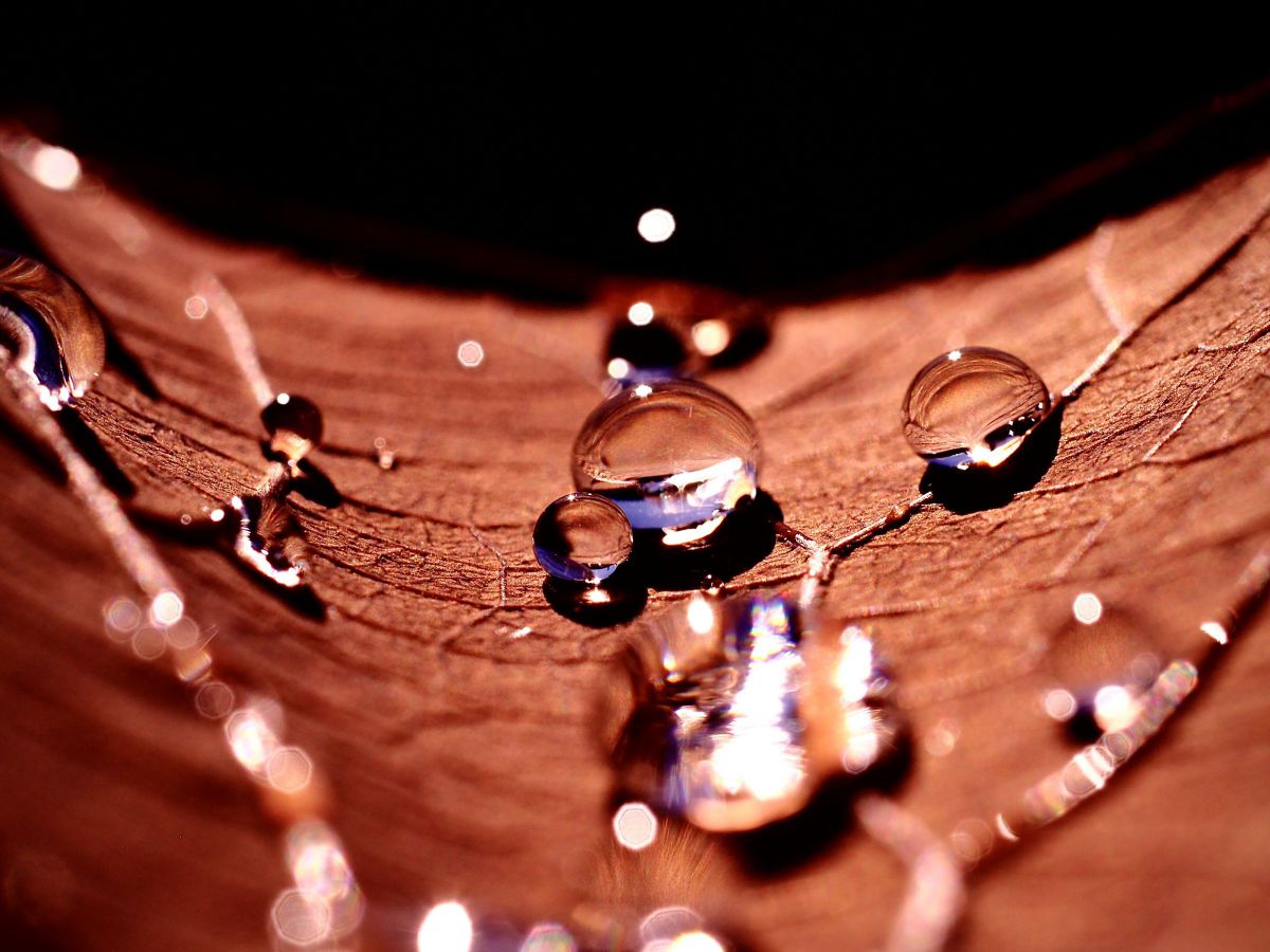 Summer greeting card | GANREF