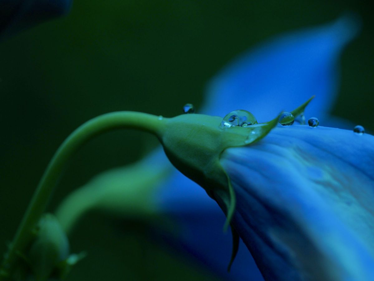 I'll ride on your back | GANREF