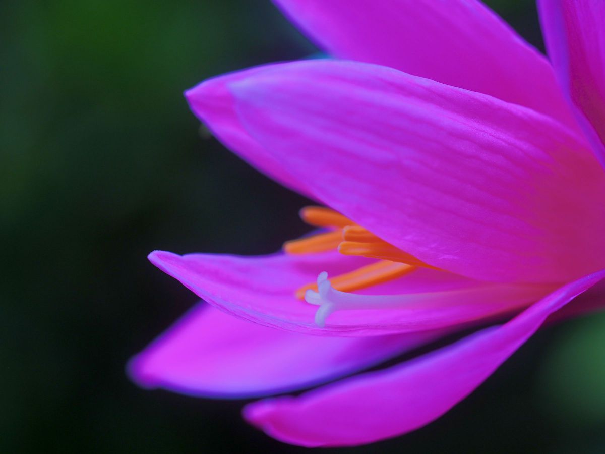 tainted love | GANREF