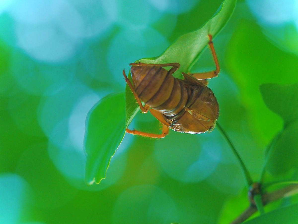 The End of Time | GANREF