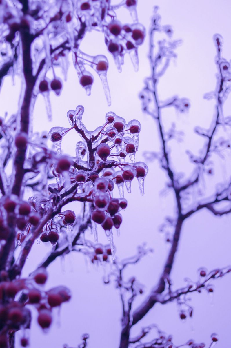 Freezing Rain | GANREF