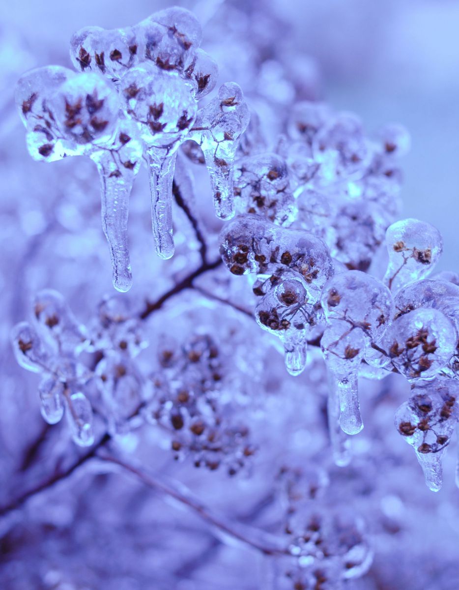 Freezing Rain | GANREF