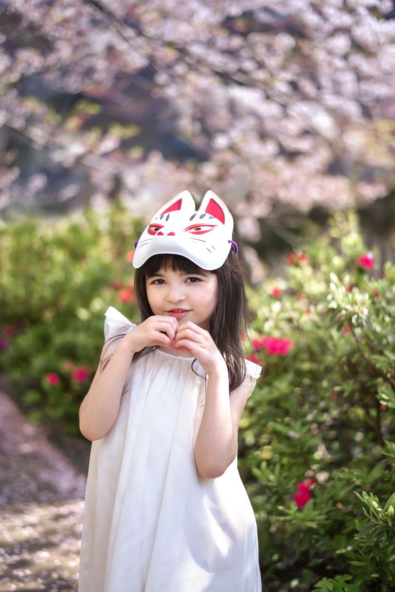 Kitsune Mask | GANREF