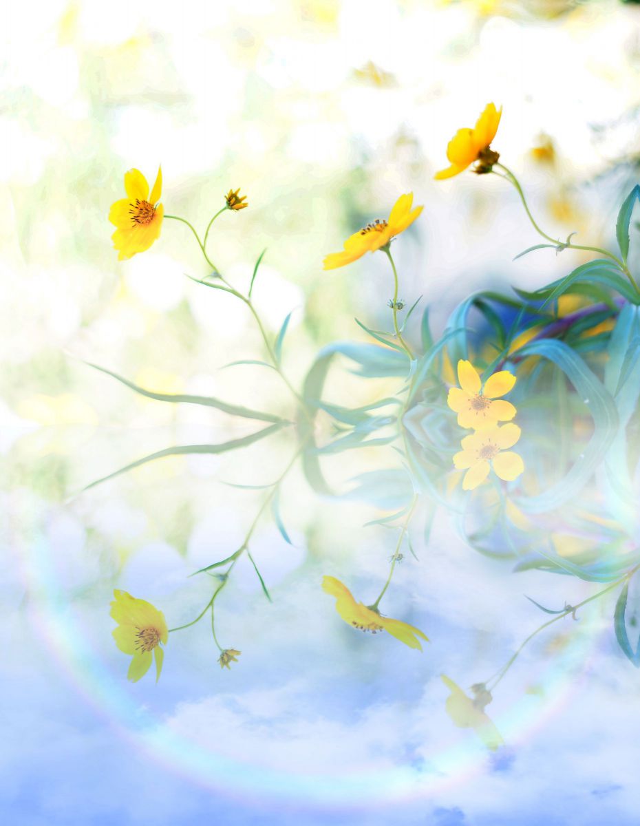 Reflected 4 | GANREF