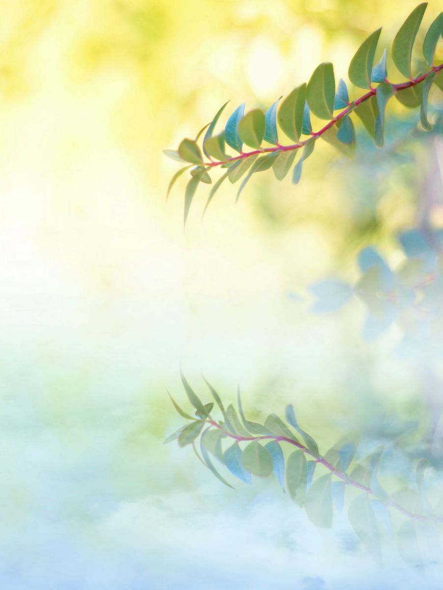 Reflected 7 | GANREF