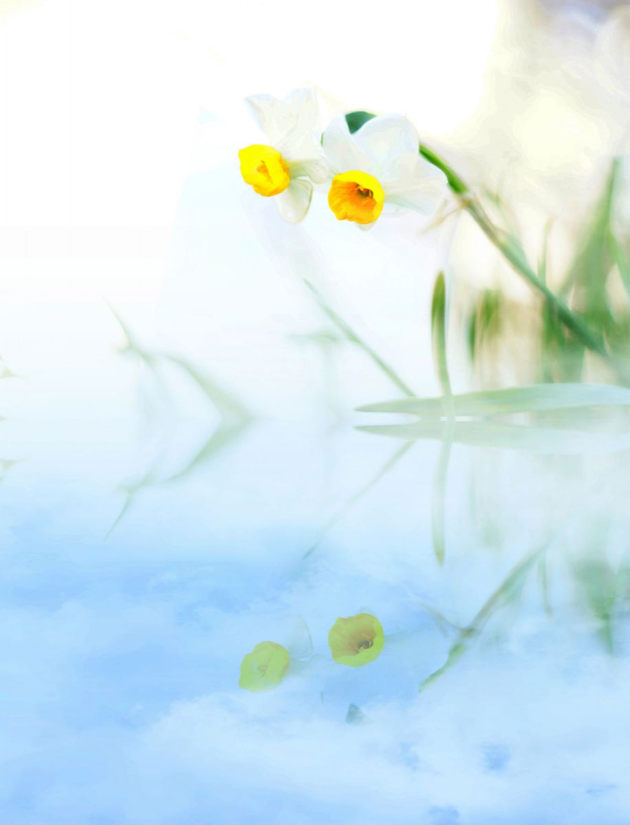 Reflected 9 | GANREF