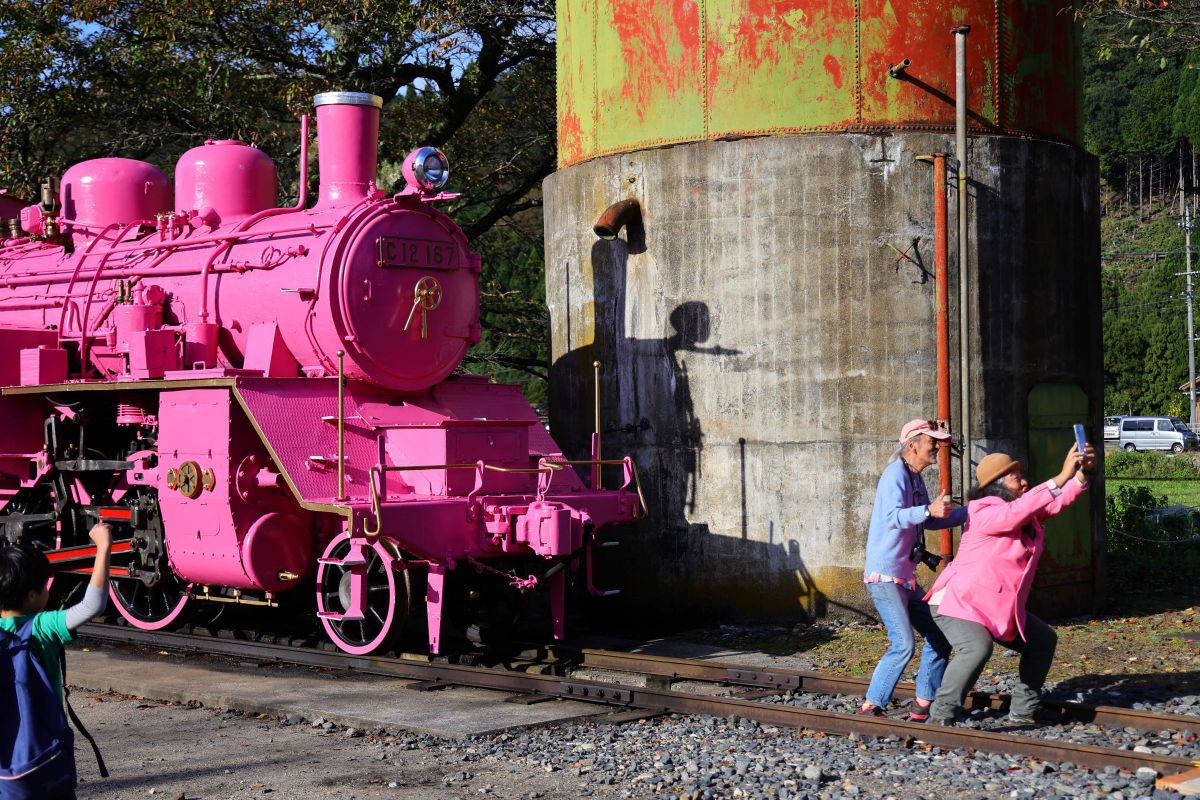 ピンクSL | GANREF