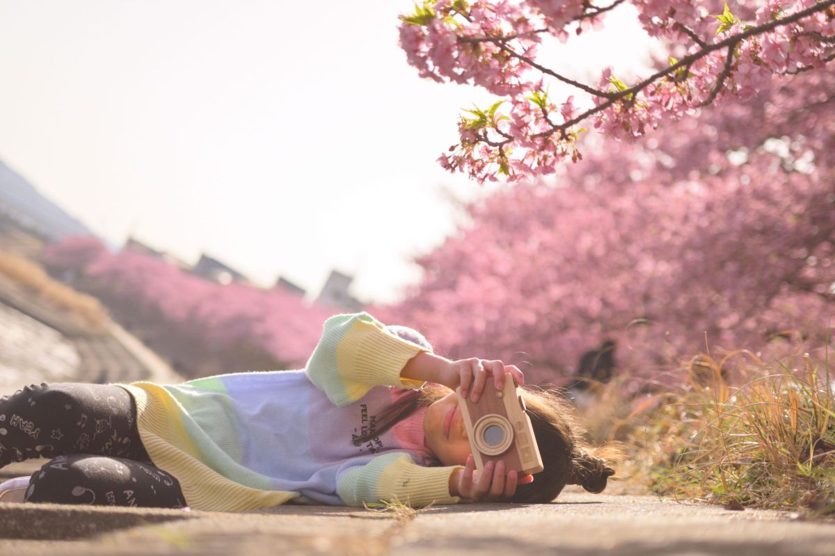 撮りあっこ | GANREF