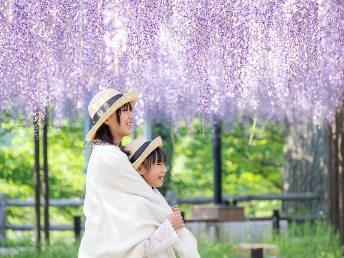 仲良し姉妹♡ | GANREF