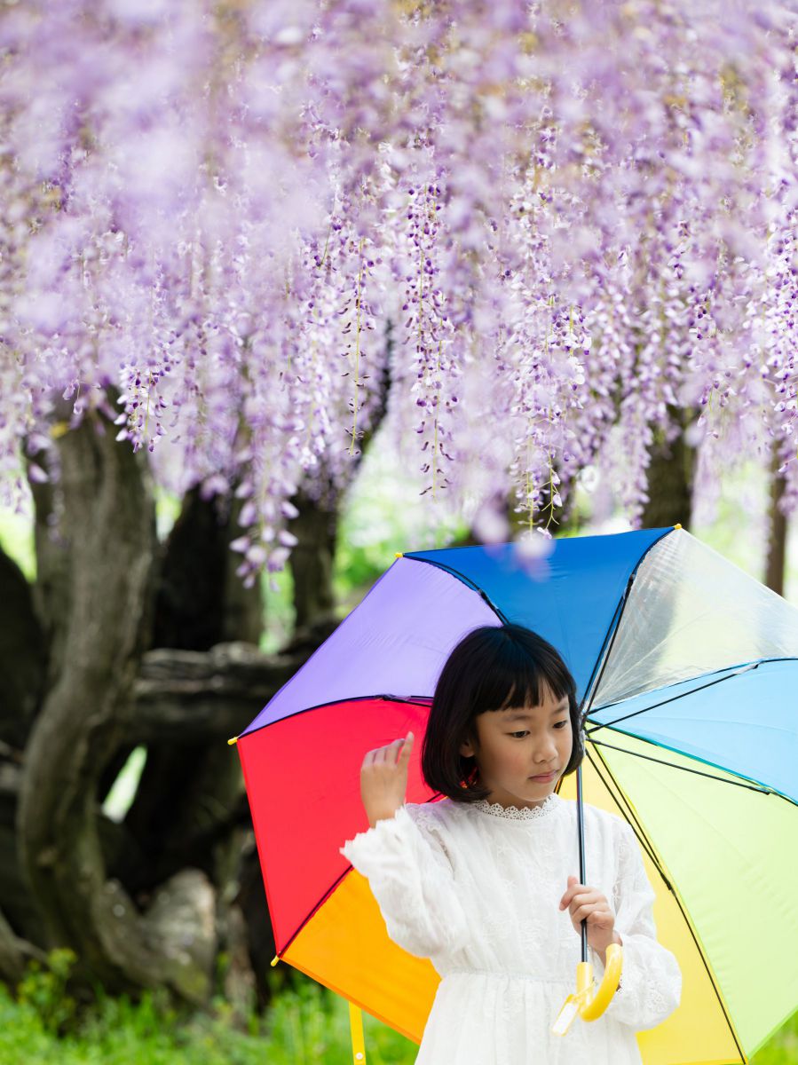 しっとりと… | GANREF