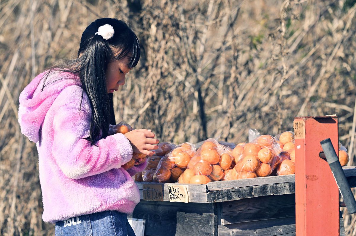 1，2，3… | GANREF