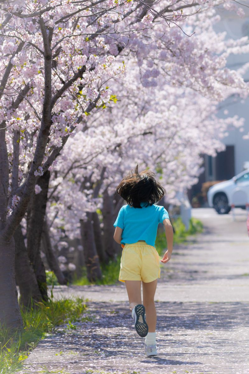 駆け抜ける春 | GANREF