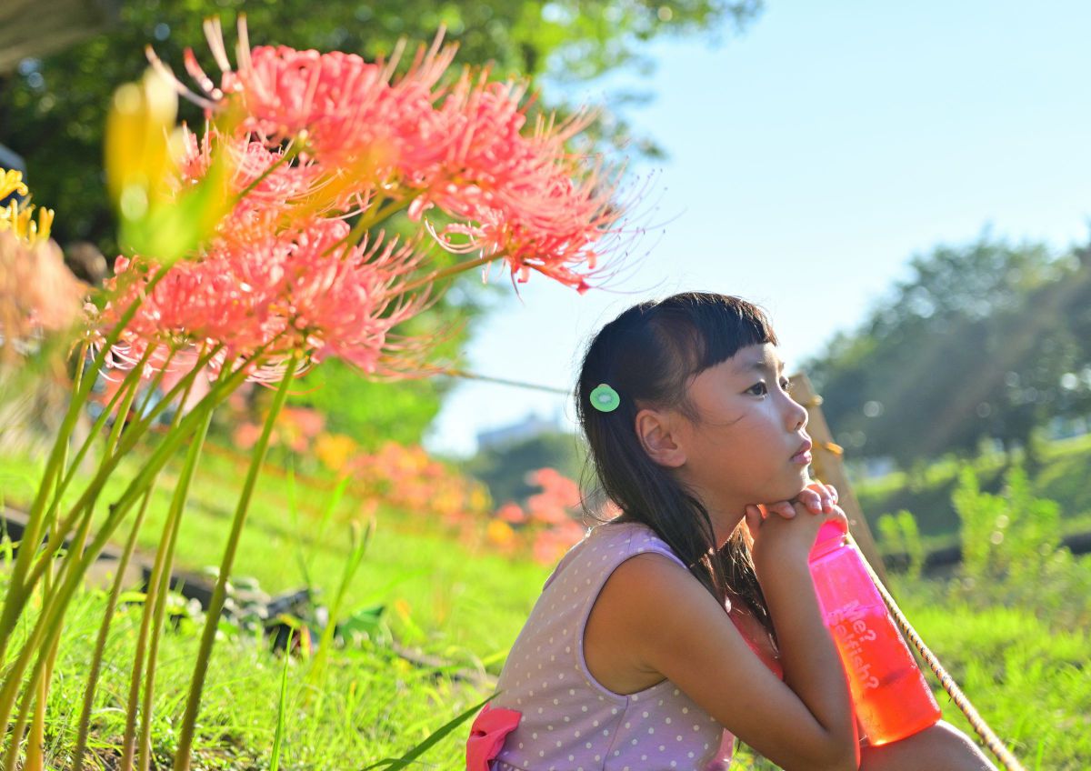 リコリスの下で | GANREF