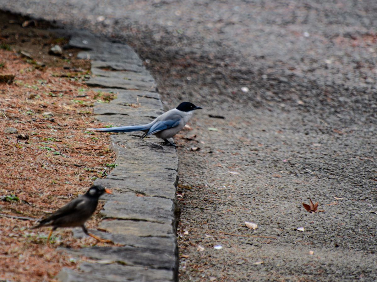 On Your Mark! | GANREF