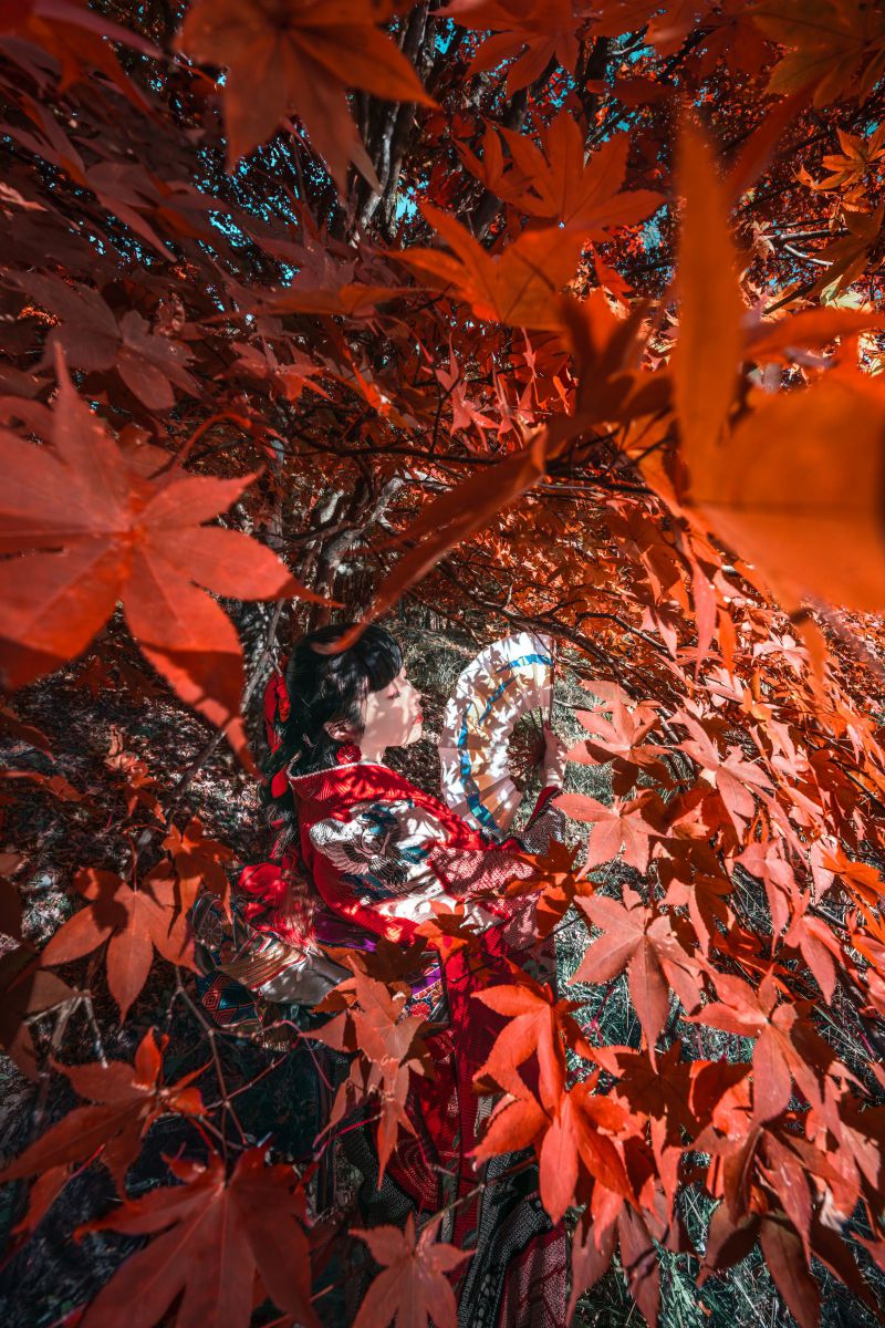 秋と舞う | GANREF