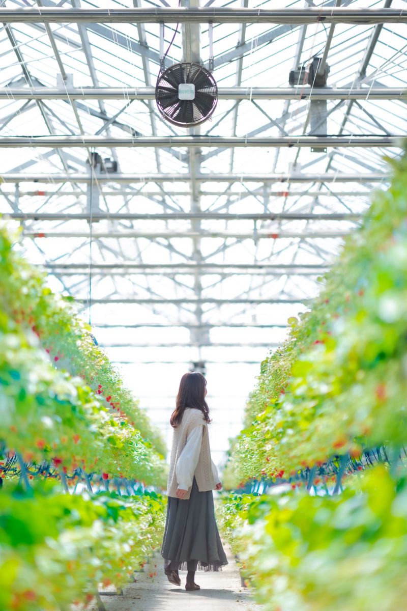 Spring is just around corner | GANREF