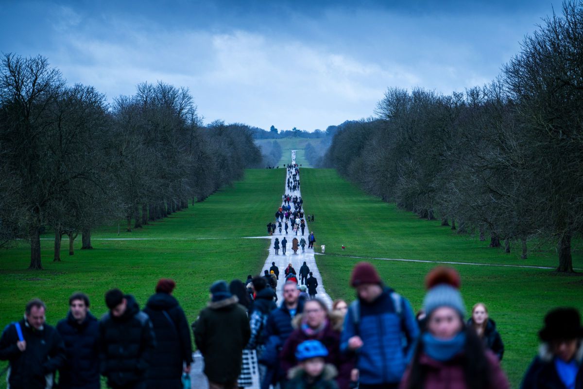 The Long Walk | GANREF