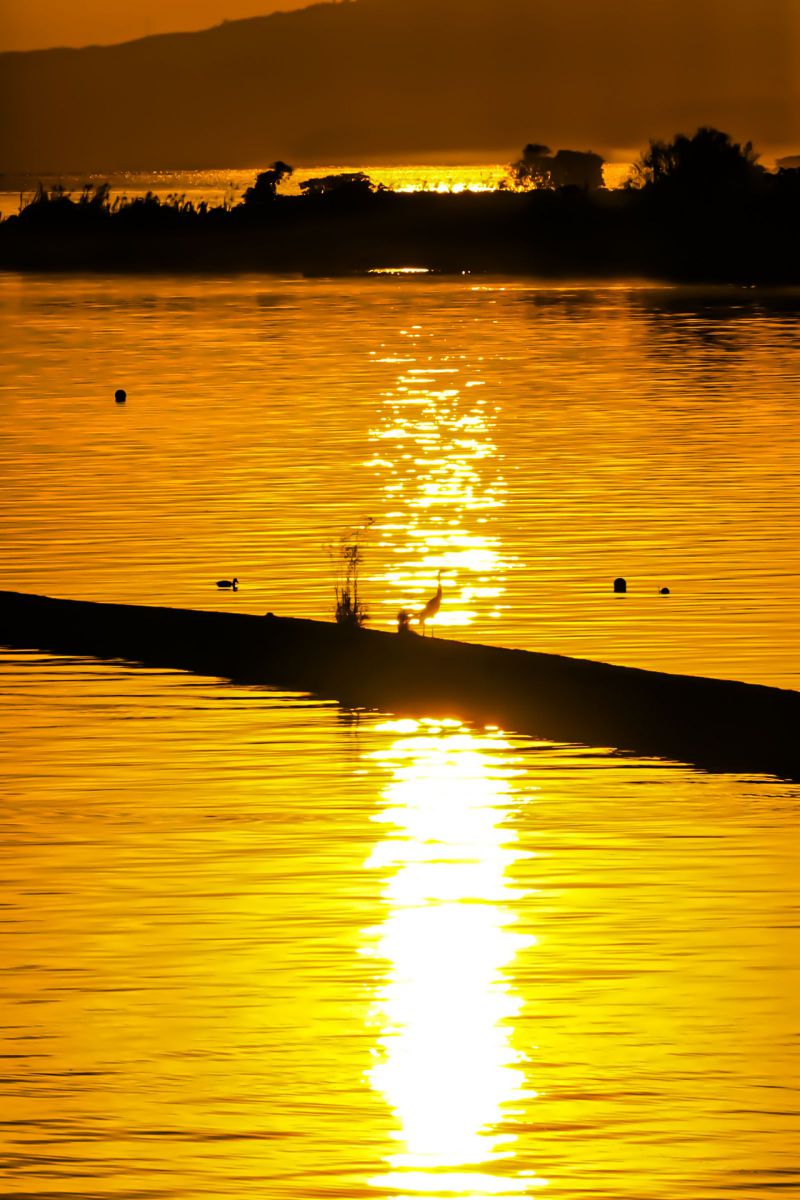 光に溶ける | GANREF